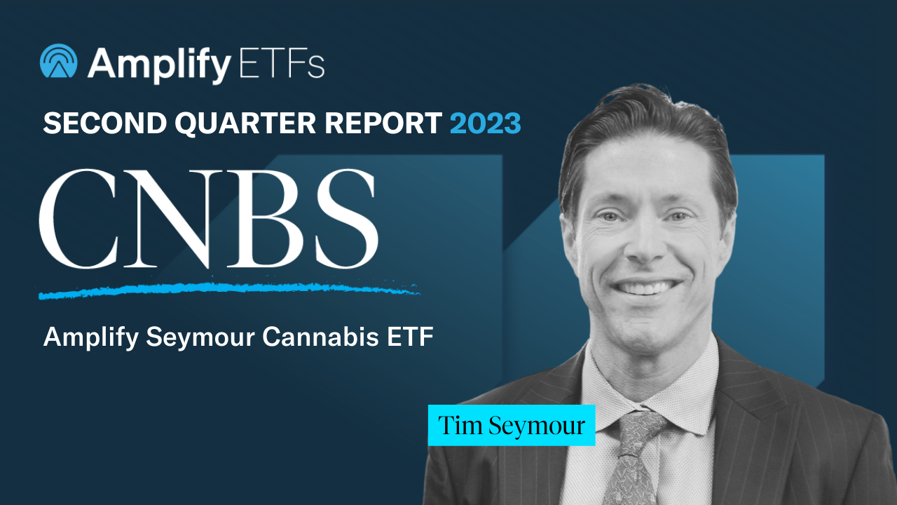 CNBS 2nd Quarter Report w/ Tim Seymour [Video]